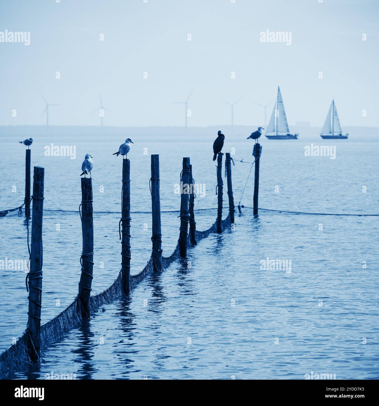 Northern Seascape blue toned Stock Photo - Alamy