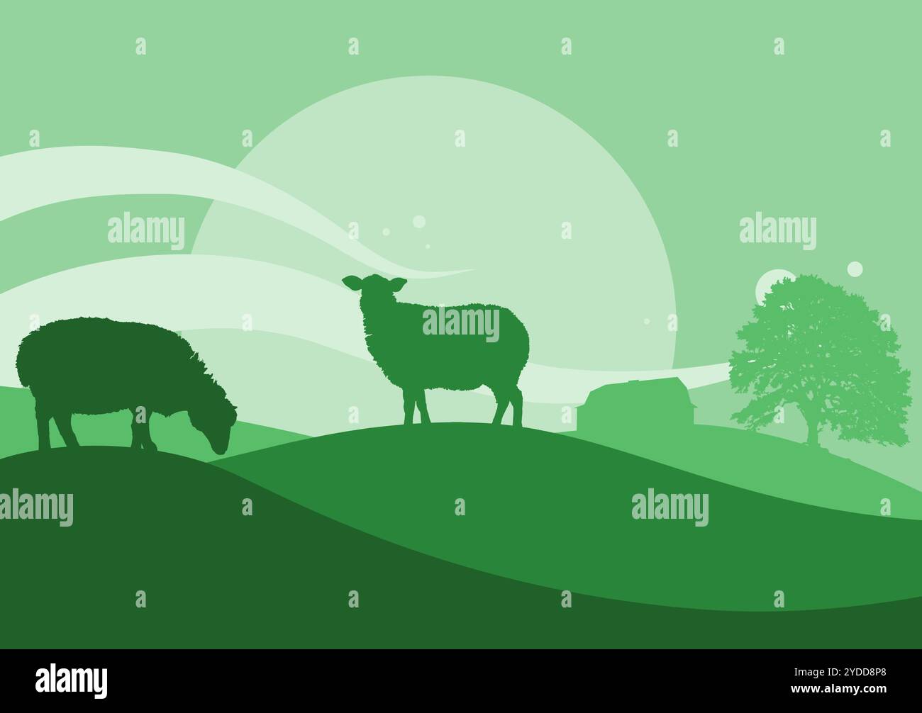 Sheep on green field Stock Vector Images - Alamy