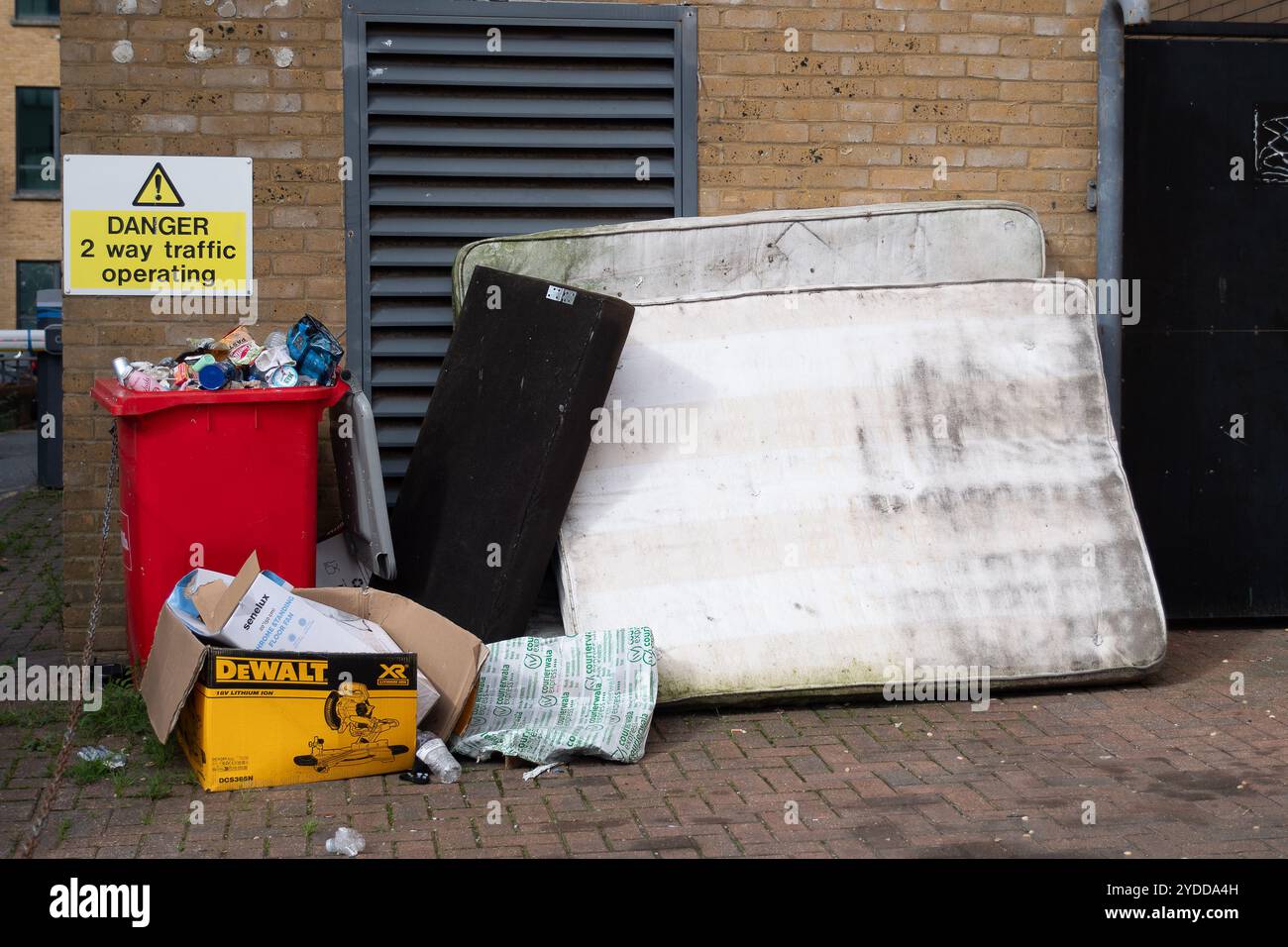 Berkshire rats hi-res stock photography and images - Alamy