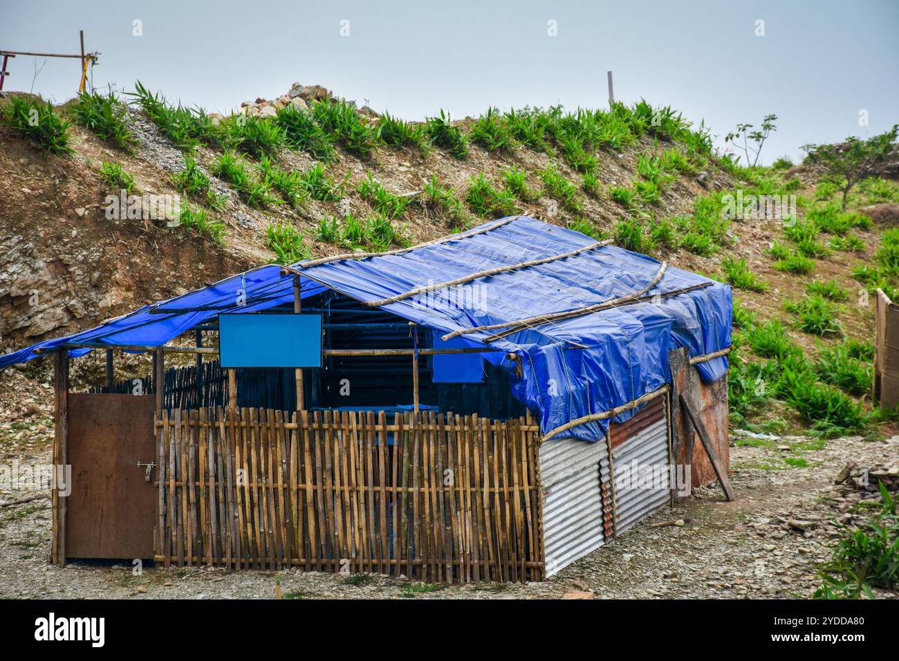Makeshift bamboo house , blue plastic roof, green slope Stock Photo - Alamy