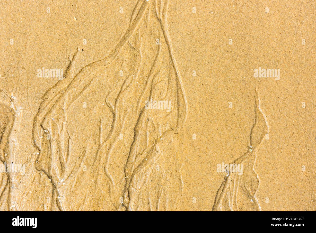 Bottom sand sandy hi-res stock photography and images - Alamy