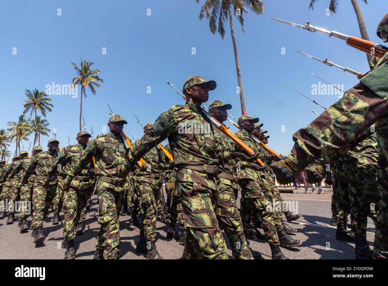 Marching parade bayonets hi-res stock photography and images - Alamy