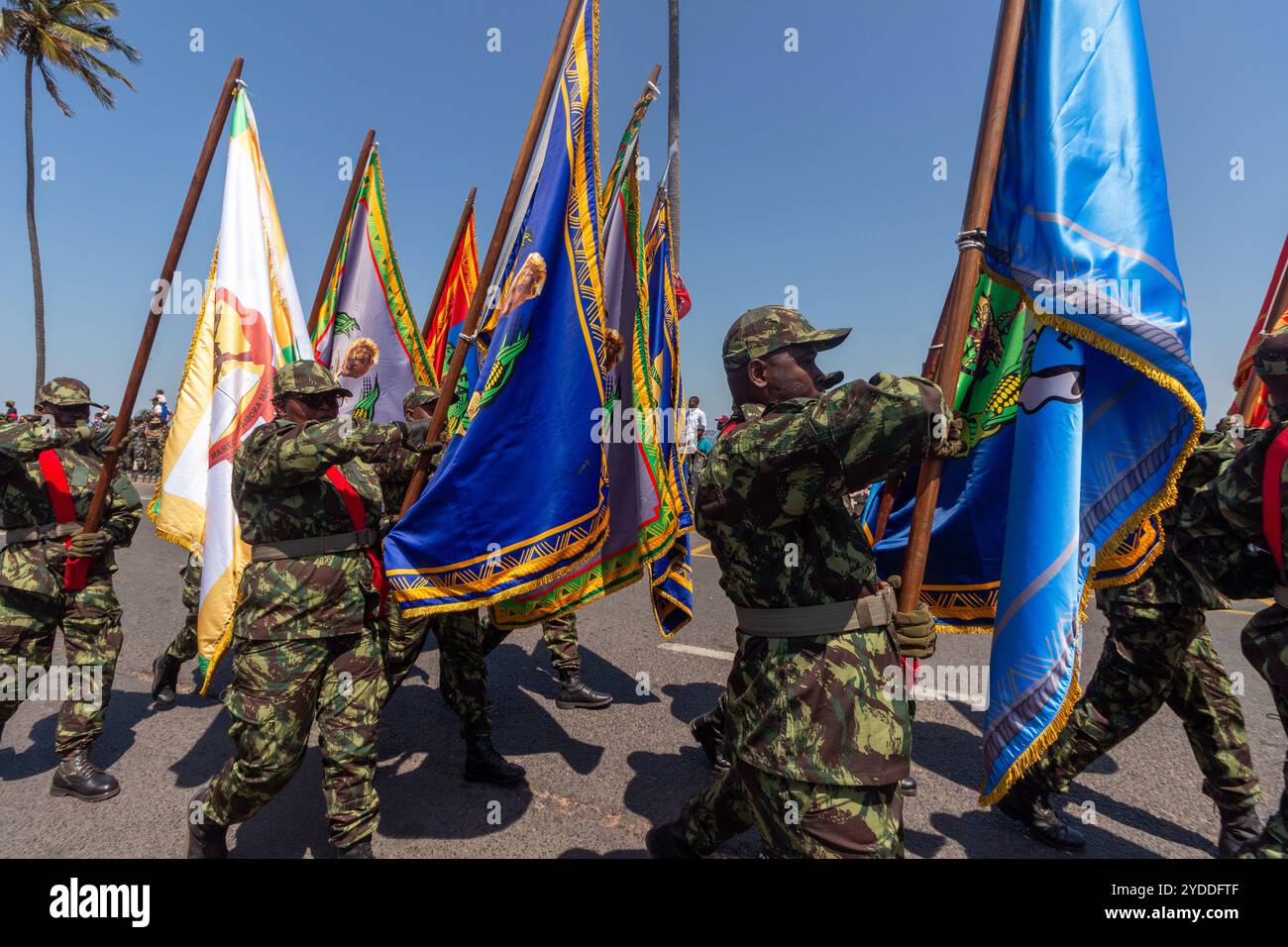 Soldiers Marching in Formation, Carrying National and Unit Flags Stock ...