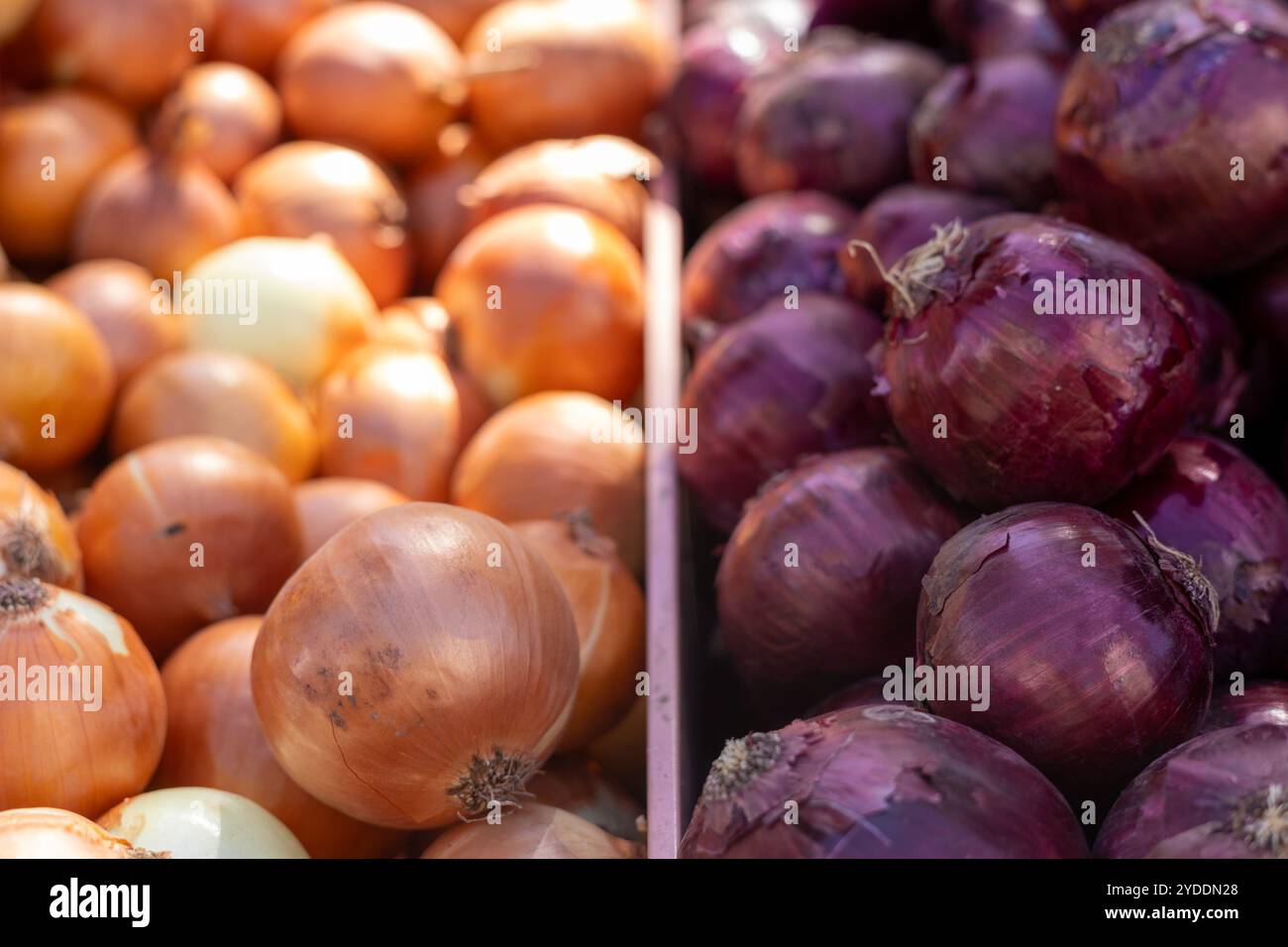 Fresh yellow and red onions displayed at an outdoor market during the ...