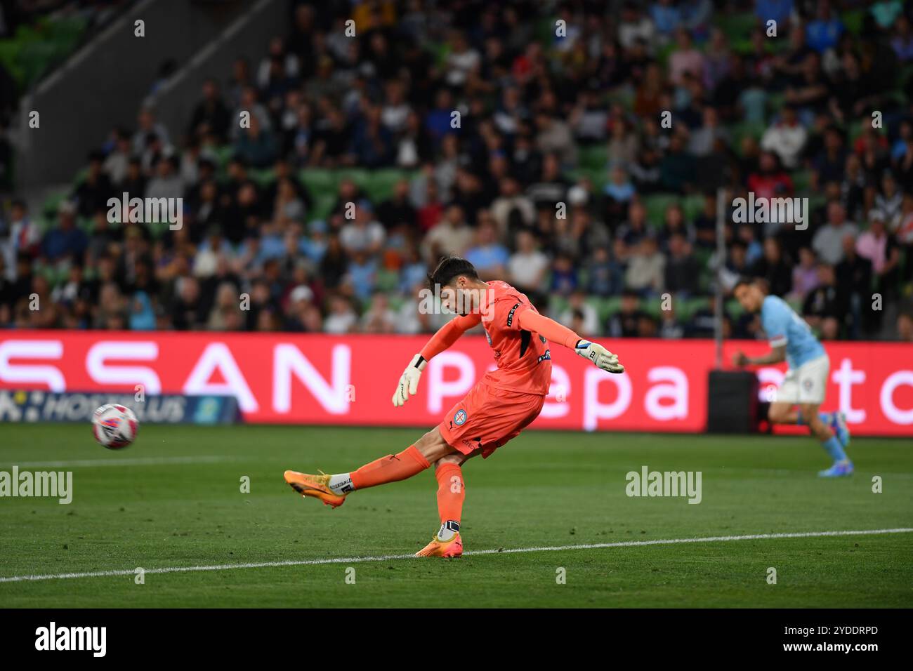 Australian soccer player patrick beach hi-res stock photography and ...