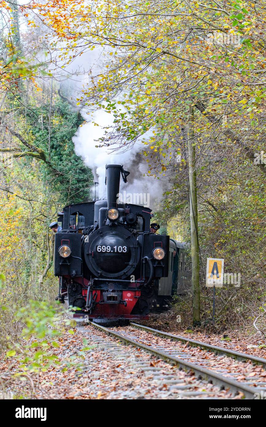 Steyr, Austria, 26 oct 2024, vintage museum train steyrtalbahn ...