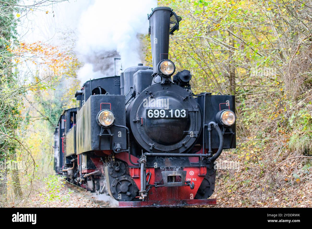 Steyr, Austria, 26 oct 2024, vintage museum train steyrtalbahn ...