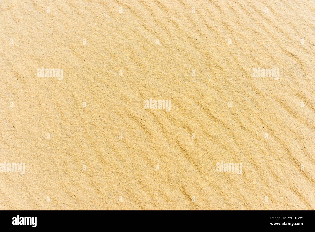 At a sandy sea bottom hi-res stock photography and images - Alamy