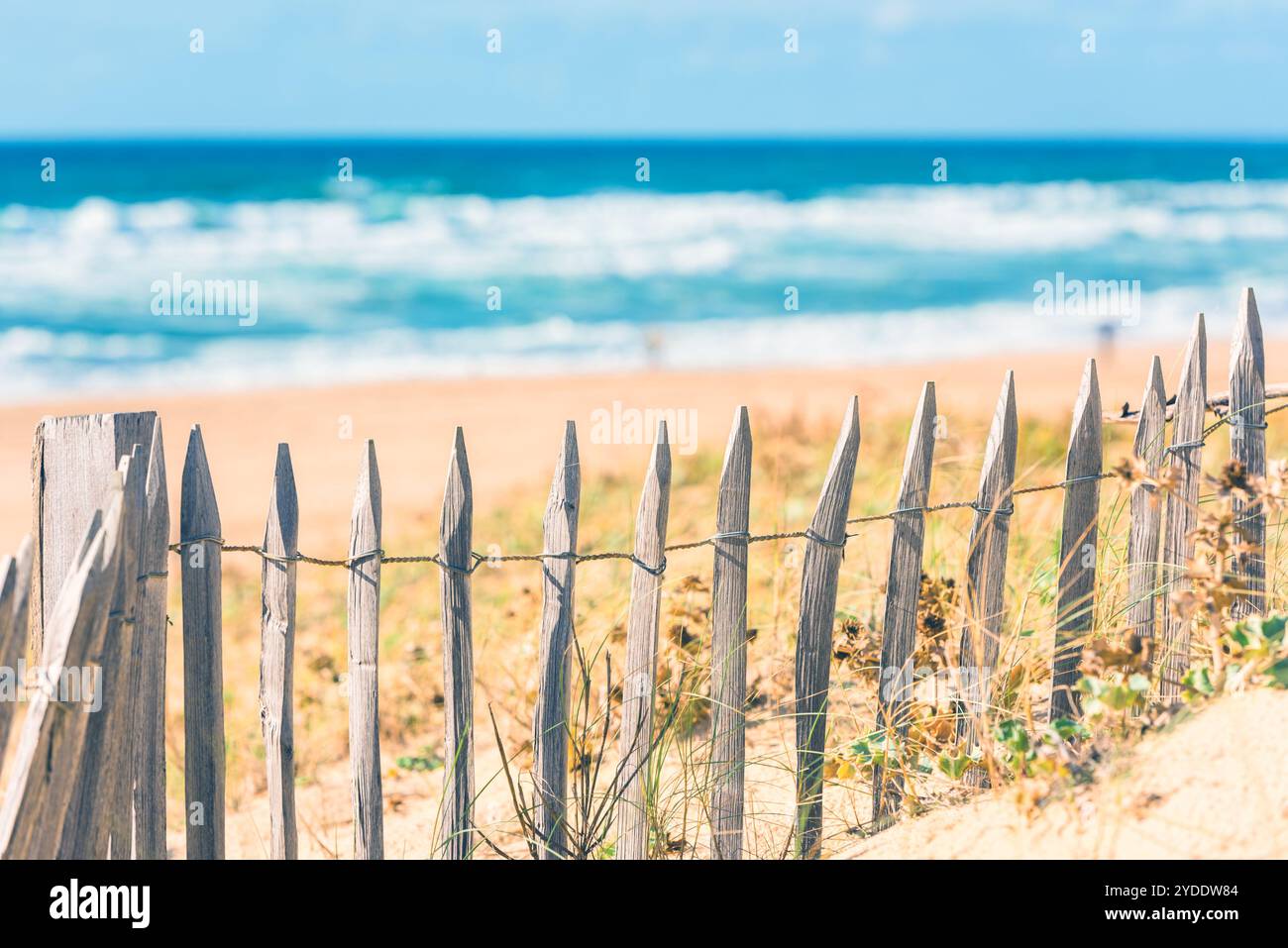 Wooden fence on an Atlantic beach in France Stock Photo - Alamy