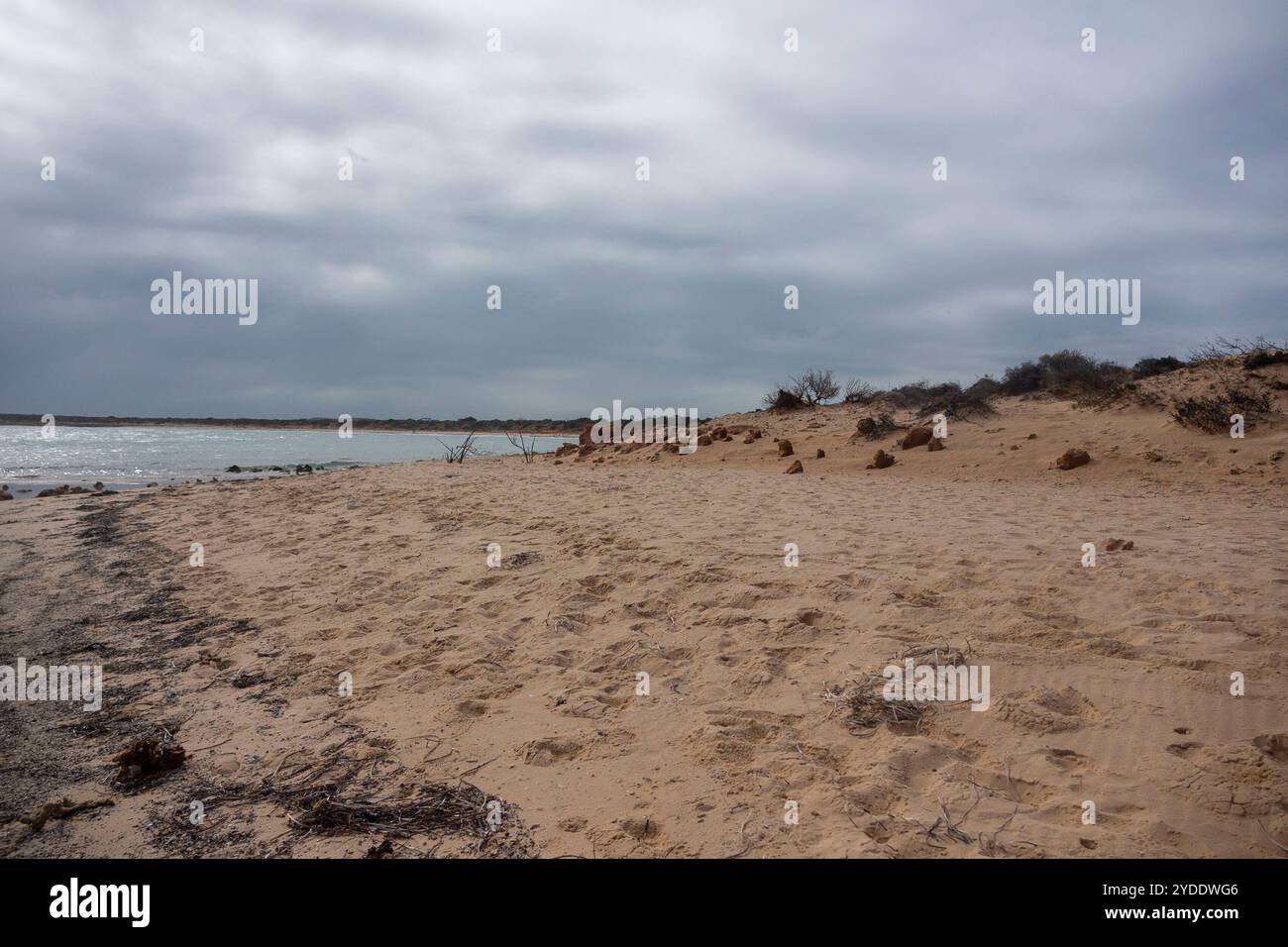 Francois Peron National Park, Western Australia Stock Photo - Alamy