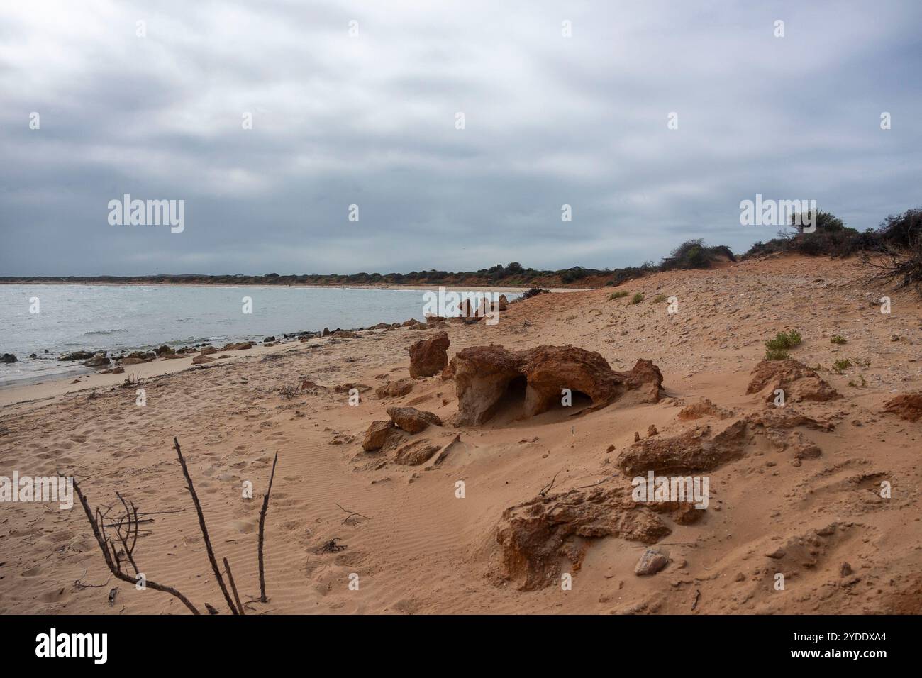Francois Peron National Park, Western Australia Stock Photo - Alamy