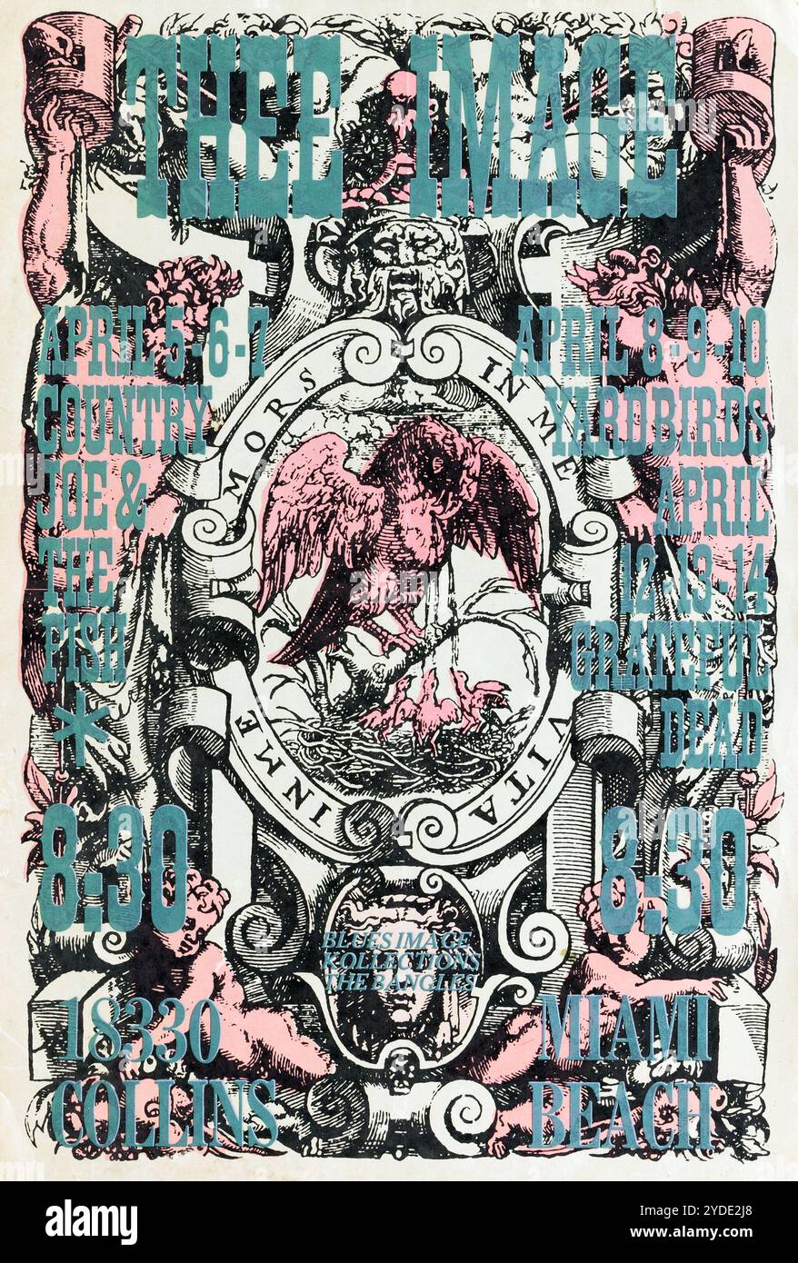 Grateful Dead, Yardbirds, Miami Beach, Florida - Psychedelic and ...