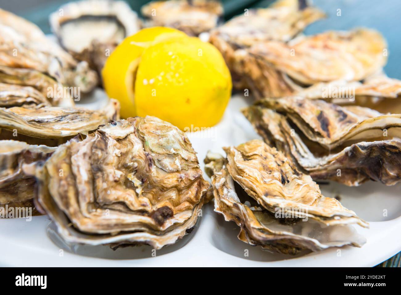 Plastic shell hi-res stock photography and images - Alamy