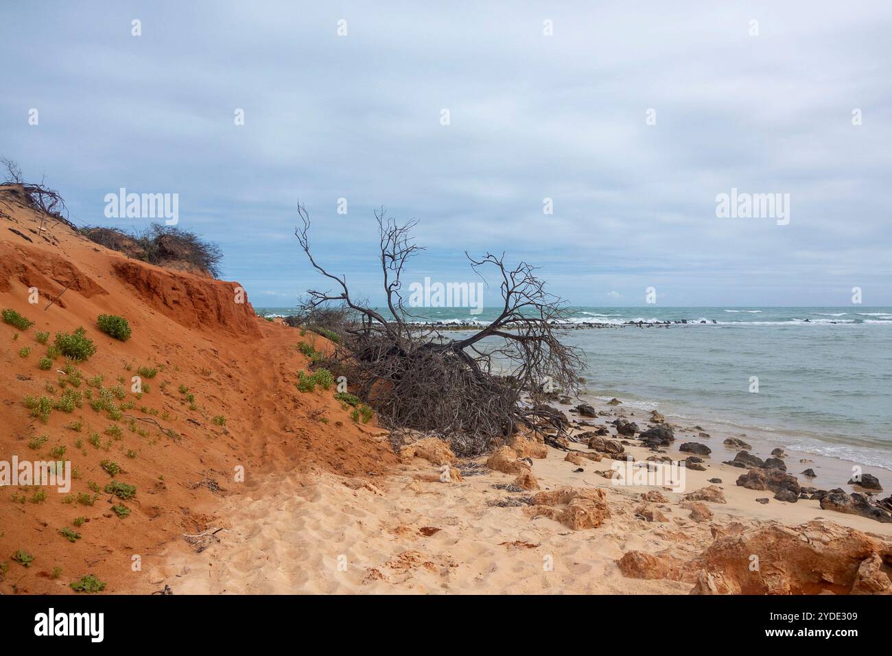 Francois Peron National Park, Western Australia Stock Photo - Alamy