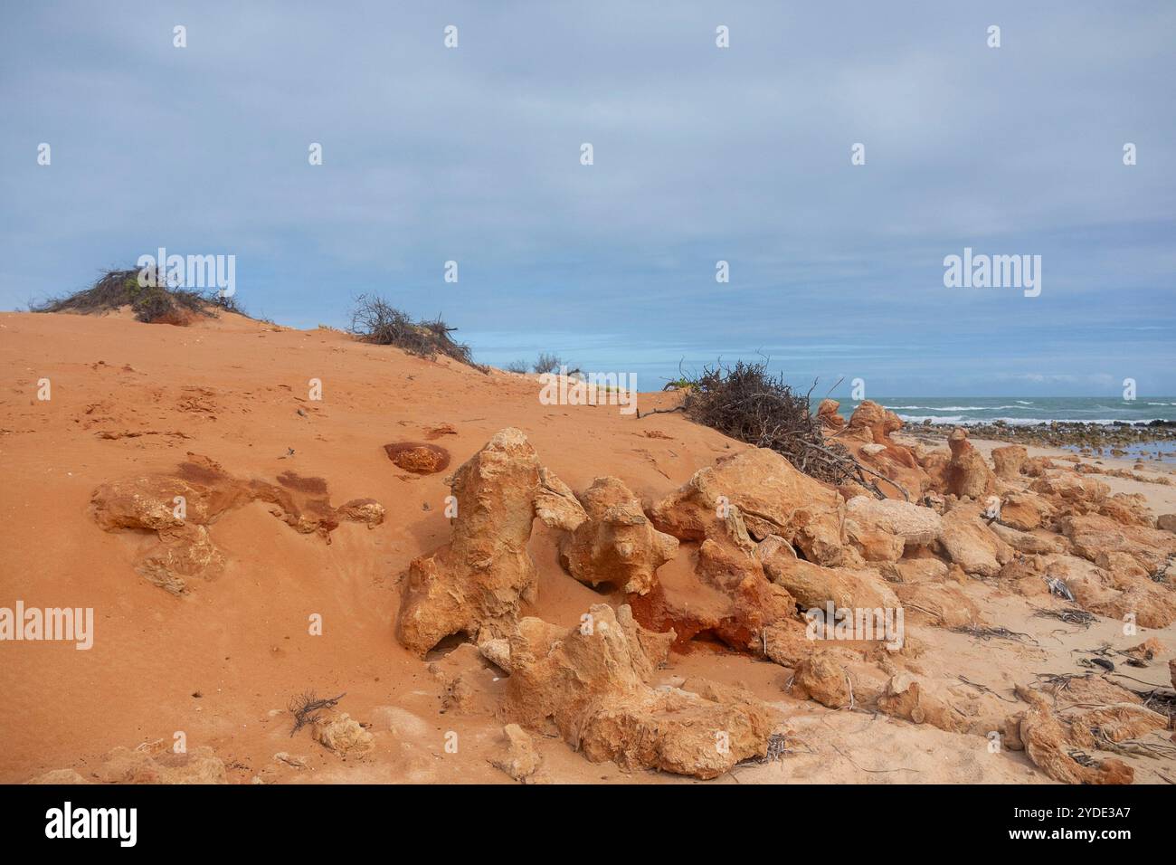 Francois Peron National Park, Western Australia Stock Photo - Alamy