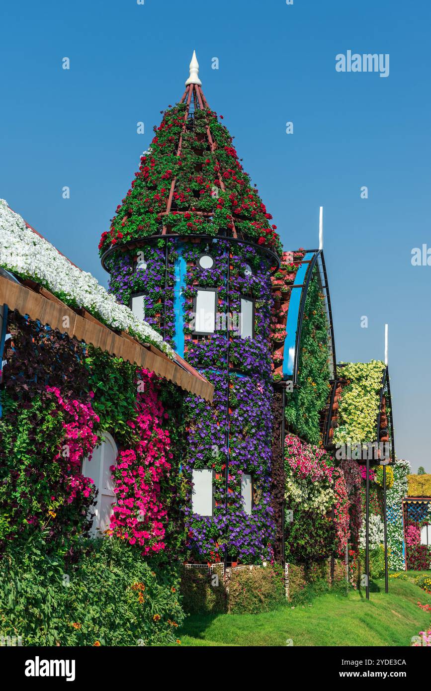 Dubai miracle garden with over million flowers Stock Photo - Alamy