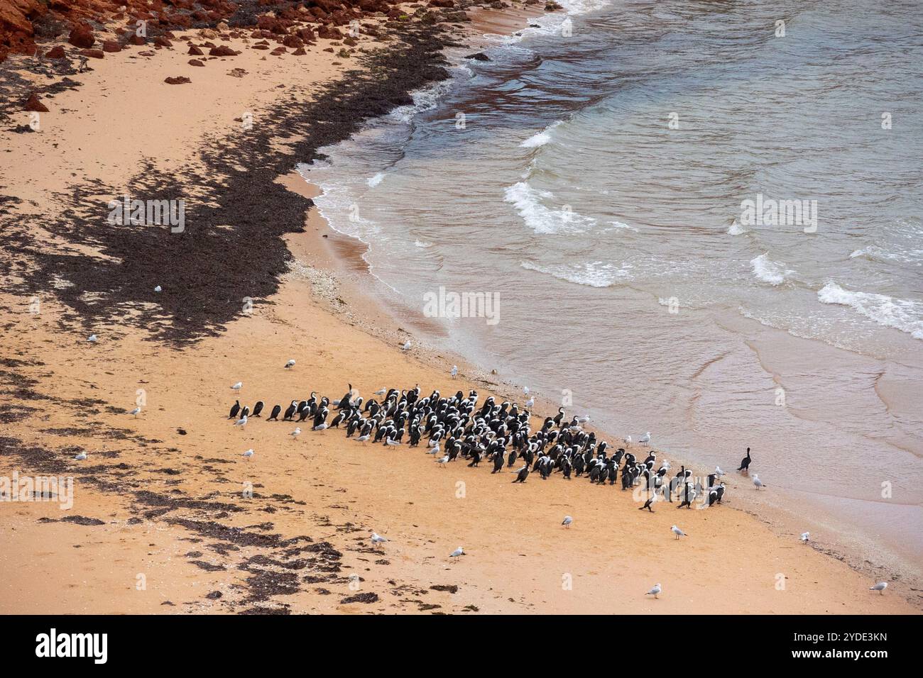Francois Peron National Park, Western Australia Stock Photo - Alamy