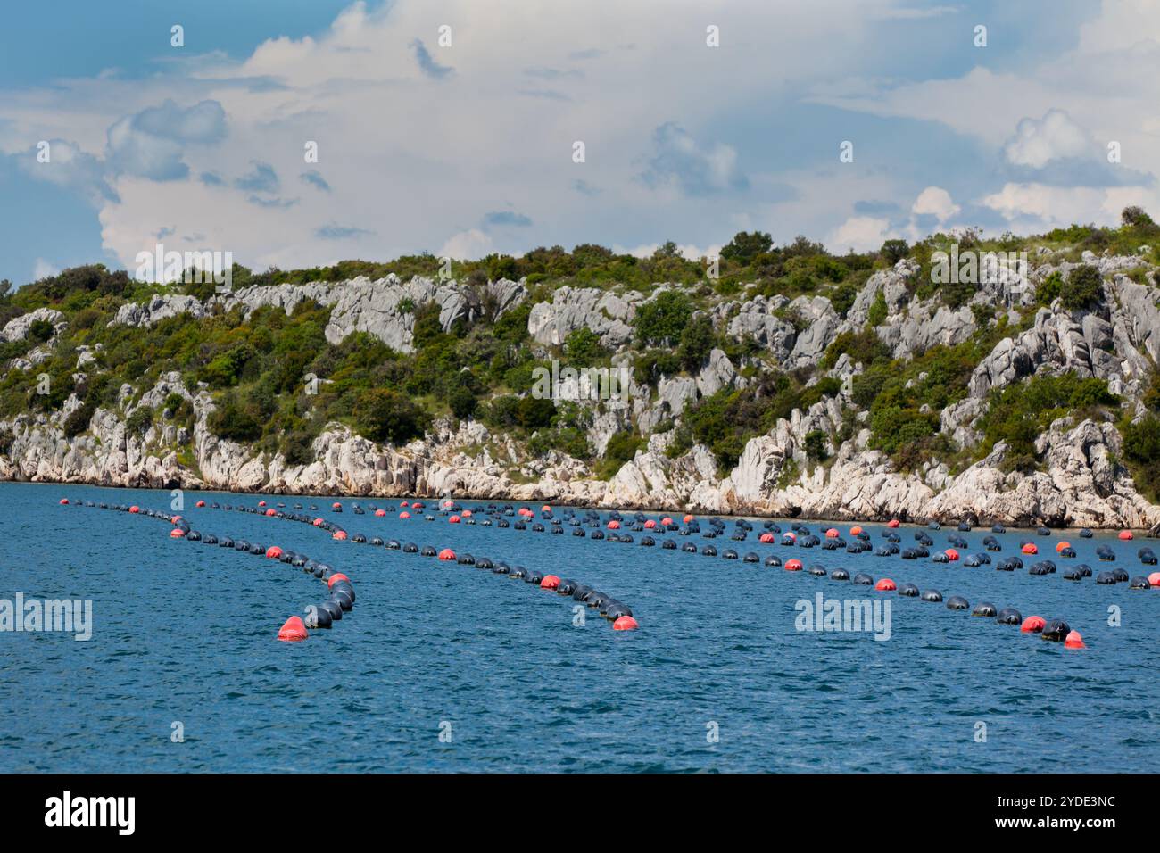 Catch mussels hi-res stock photography and images - Alamy