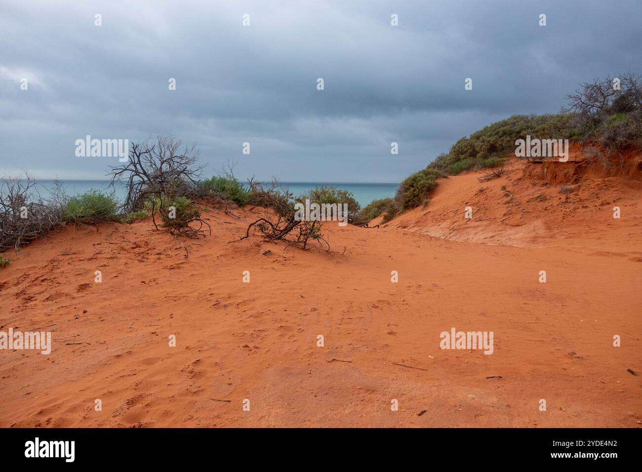 Francois Peron National Park, Western Australia Stock Photo - Alamy