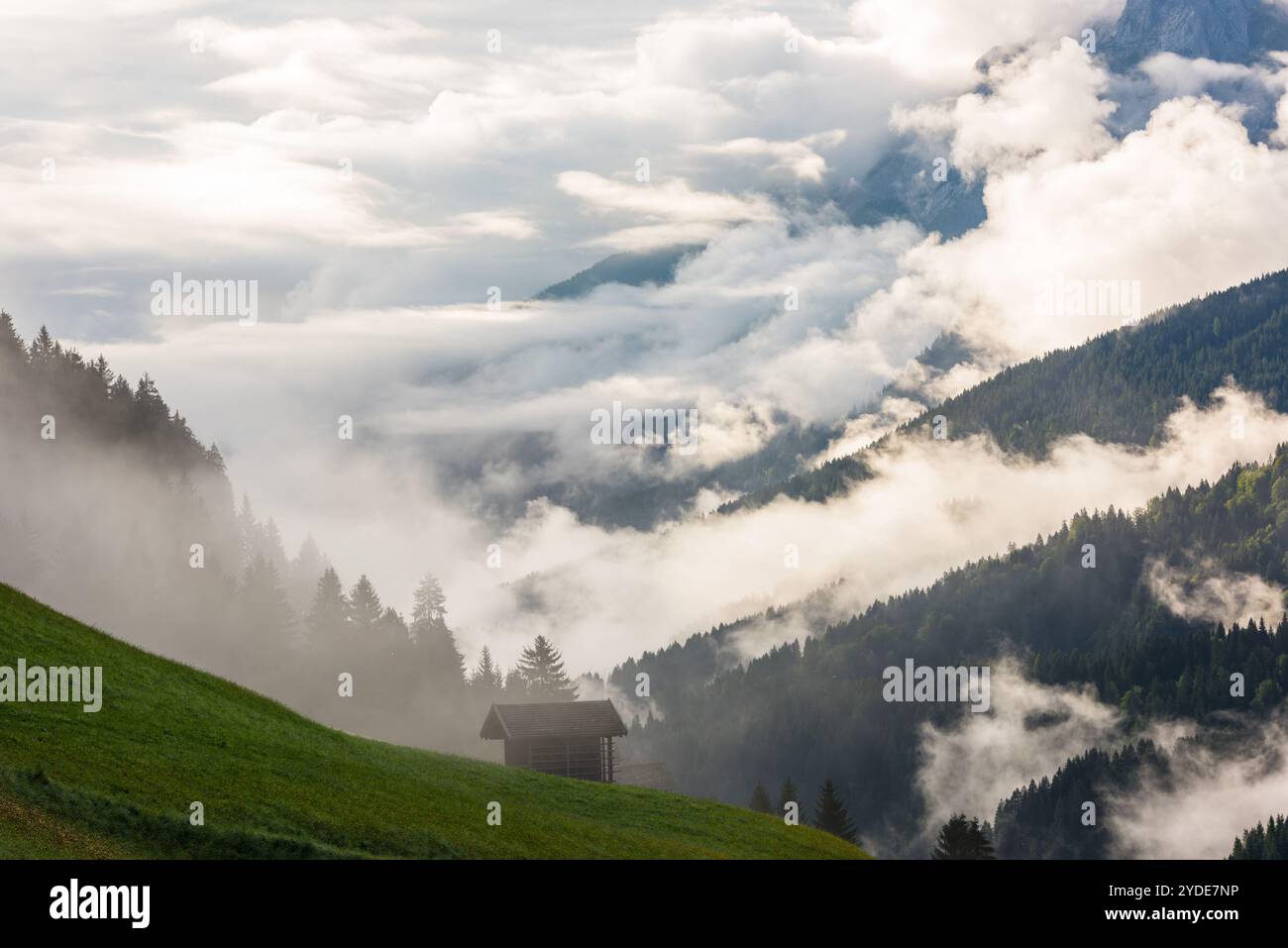 Small alpine house in green forest mountains Stock Photo - Alamy