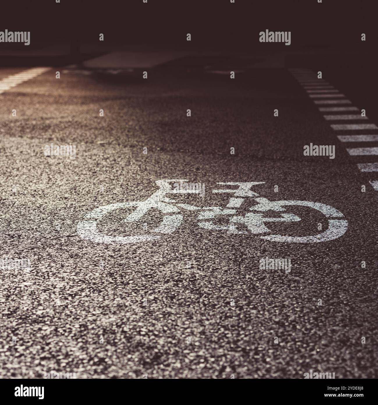 Bicycle road sign on the street Stock Photo - Alamy