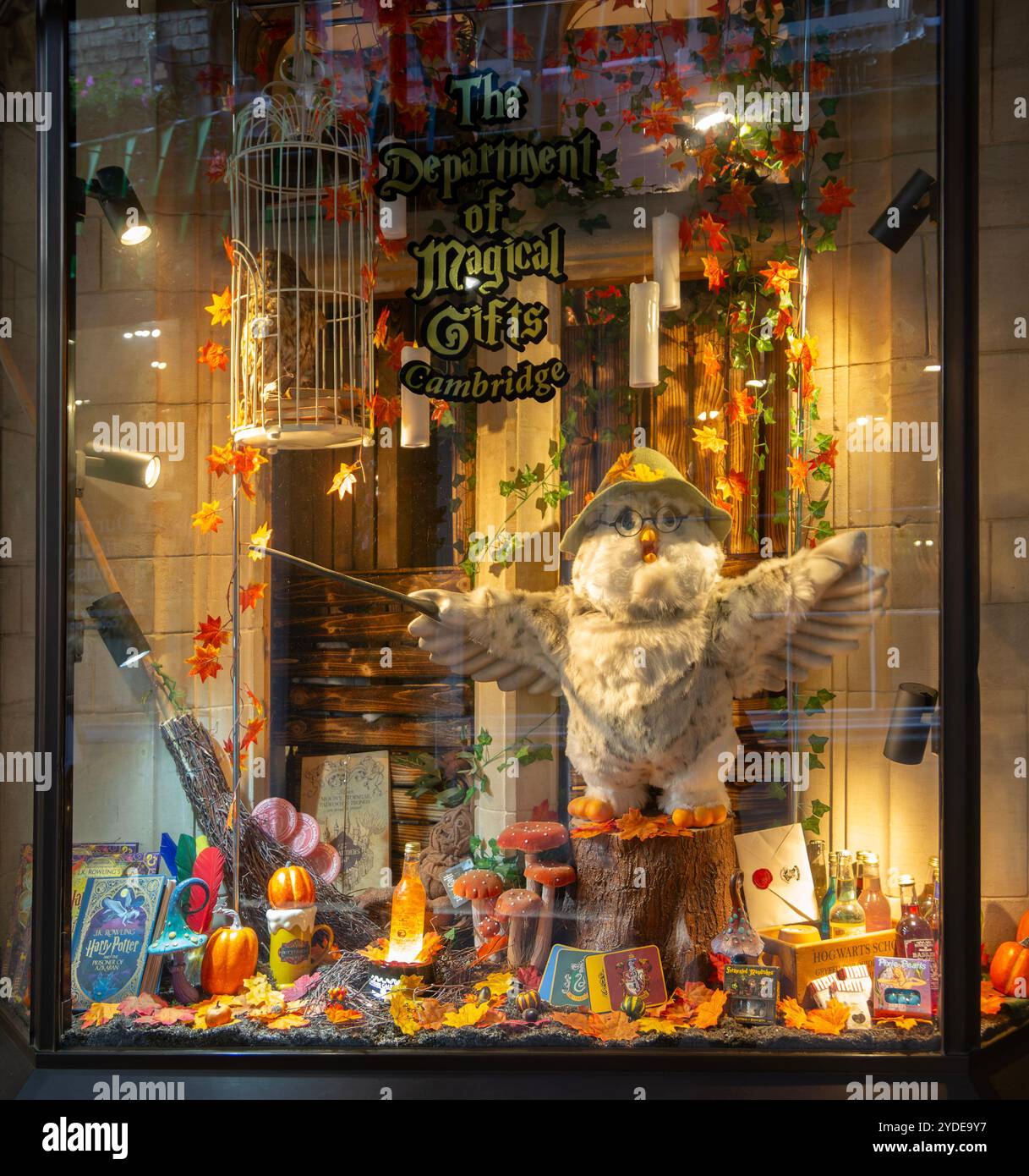 Shop window display, The Department of Magical Gifts shop, city centre ...