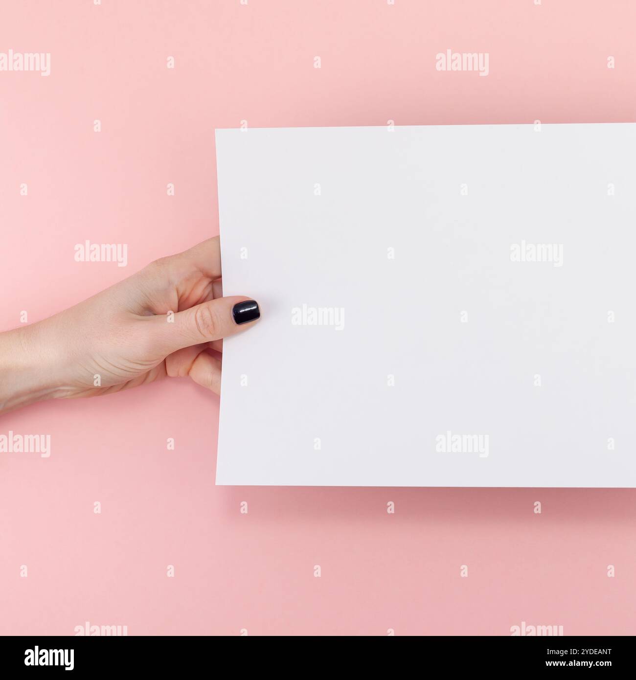 Woman hands with blank A4 paper sheet mockup Stock Photo - Alamy