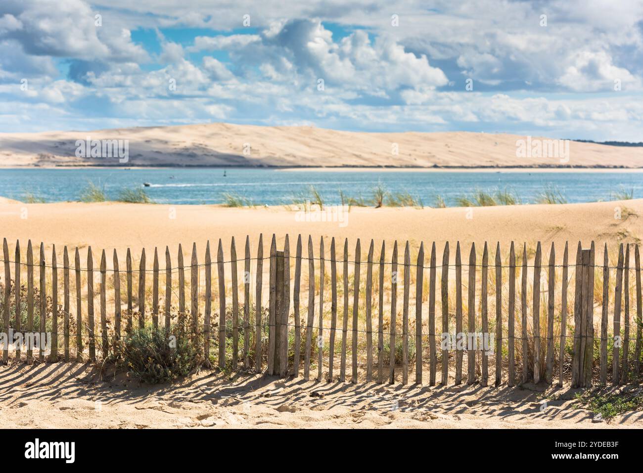 Wooden fence on Atlantic beach in France Stock Photo - Alamy