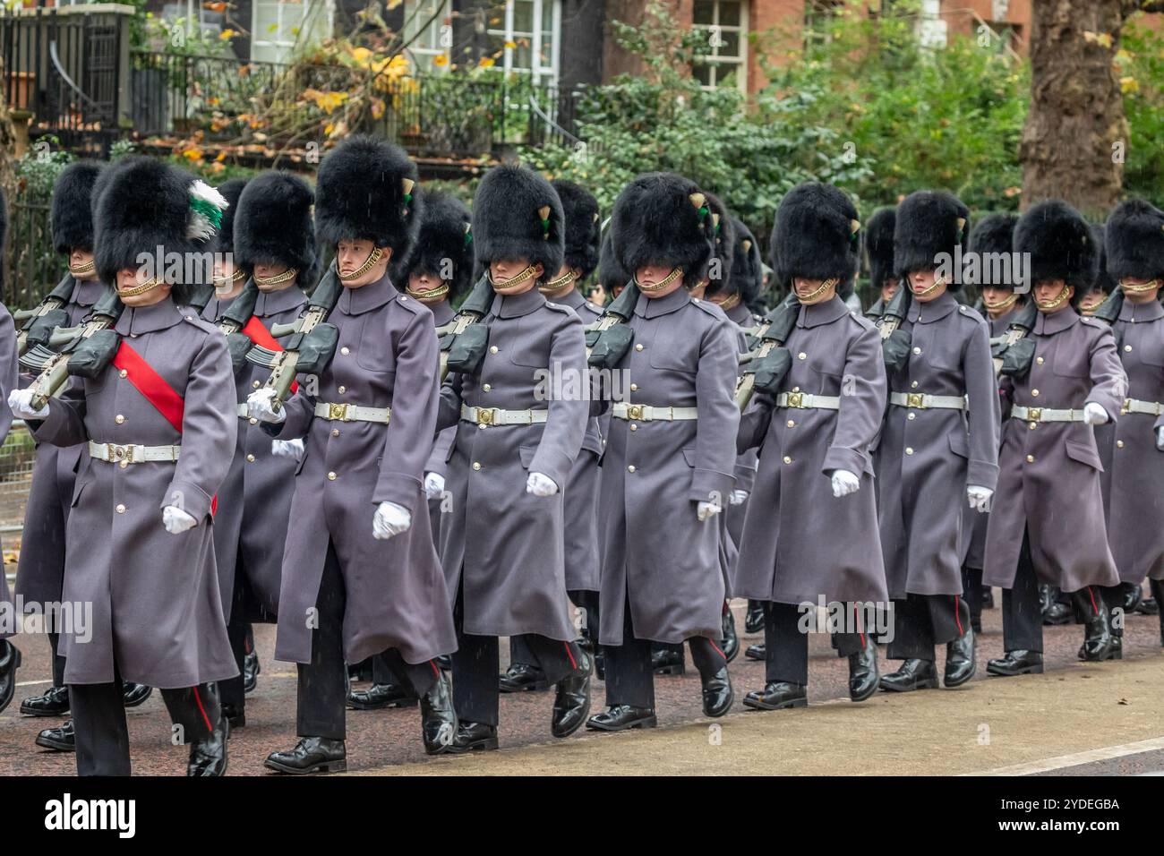 Welsh Guards, Birdcage Walk, London, UK Stock Photo - Alamy