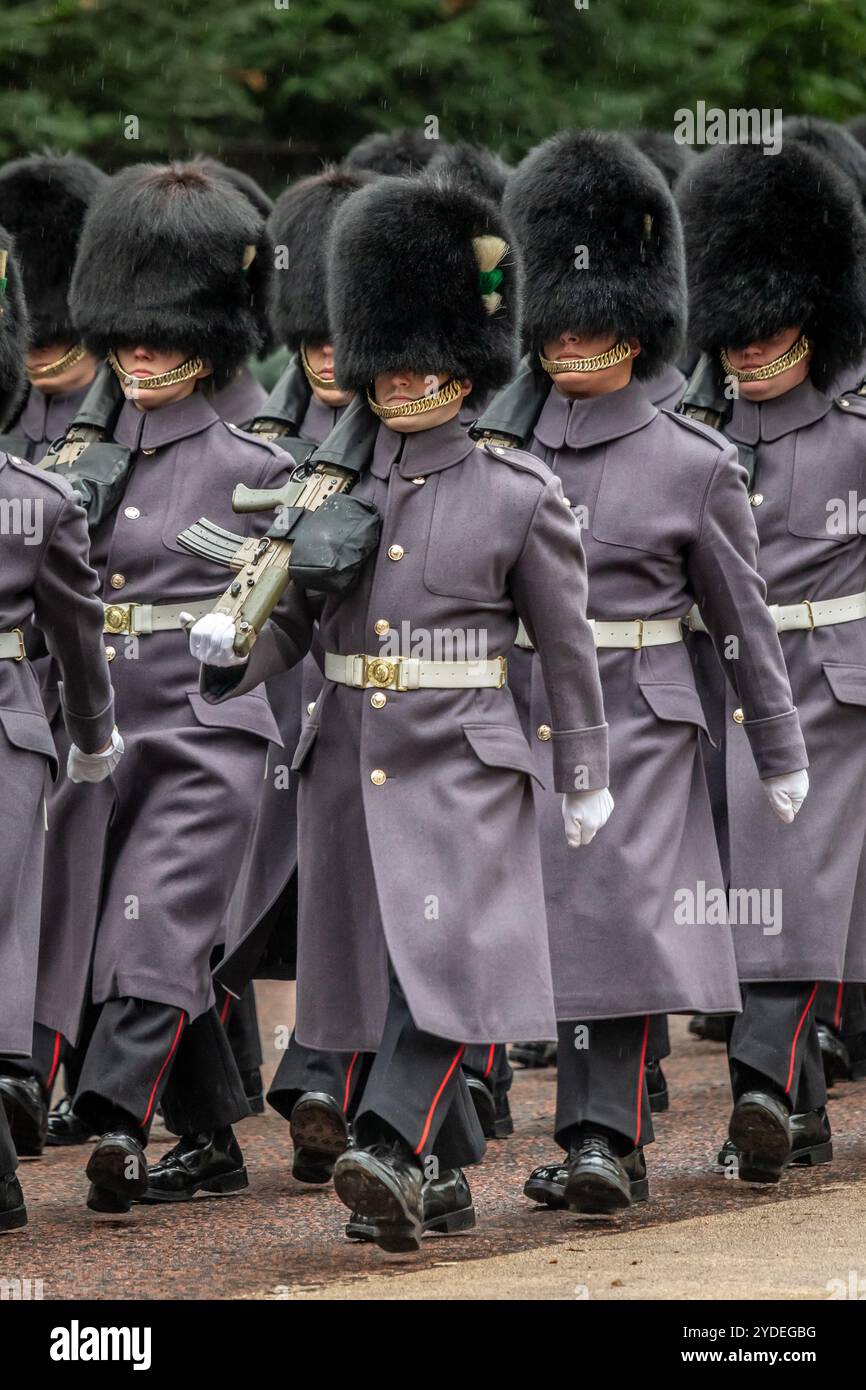 Welsh Guards, Birdcage Walk, London, UK Stock Photo - Alamy