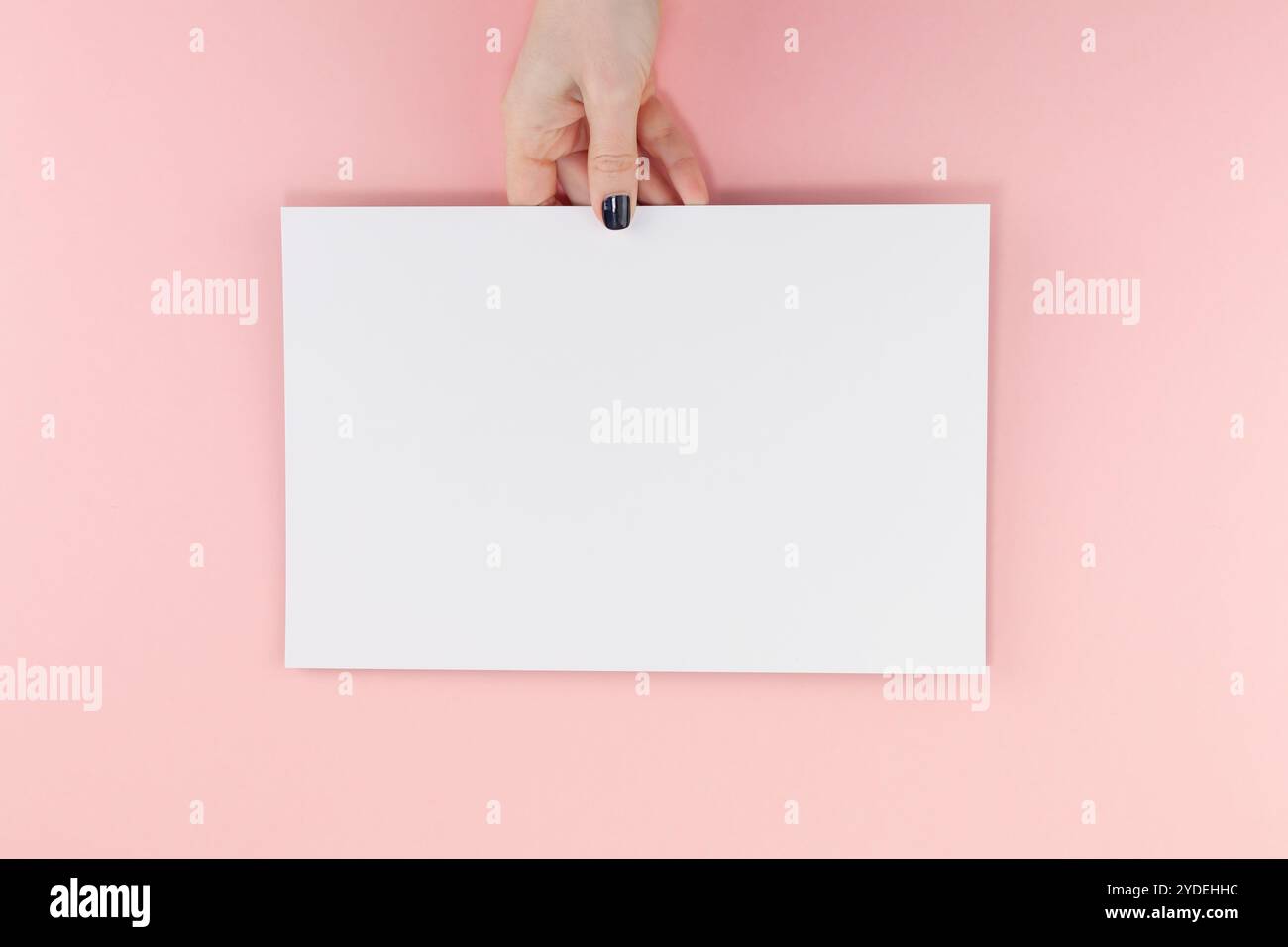 Blank a4 sheet hi-res stock photography and images - Alamy
