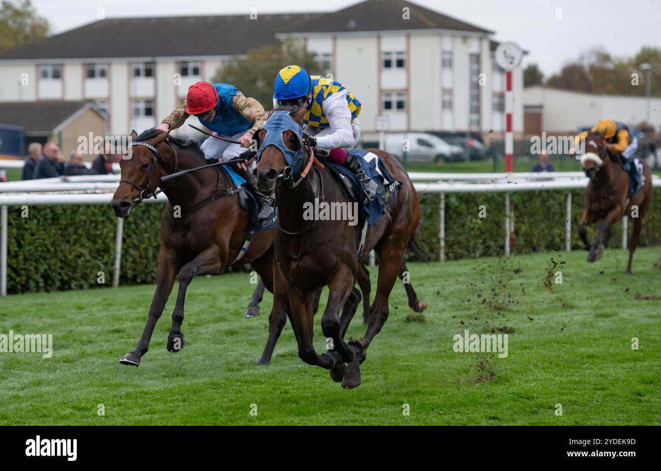 Oisin murphy champion hi-res stock photography and images - Alamy