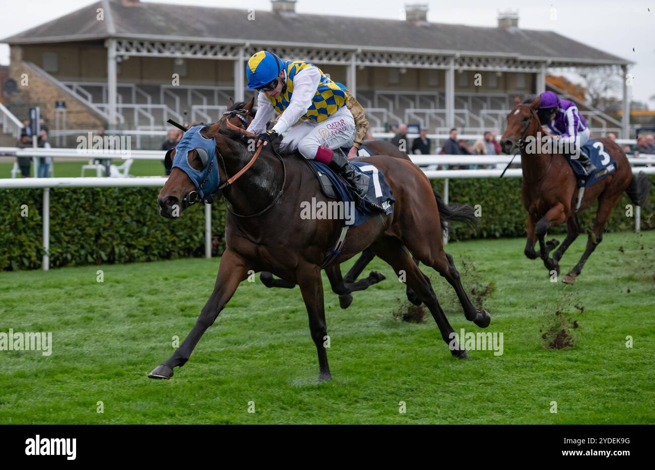 Oisin murphy champion hi-res stock photography and images - Alamy