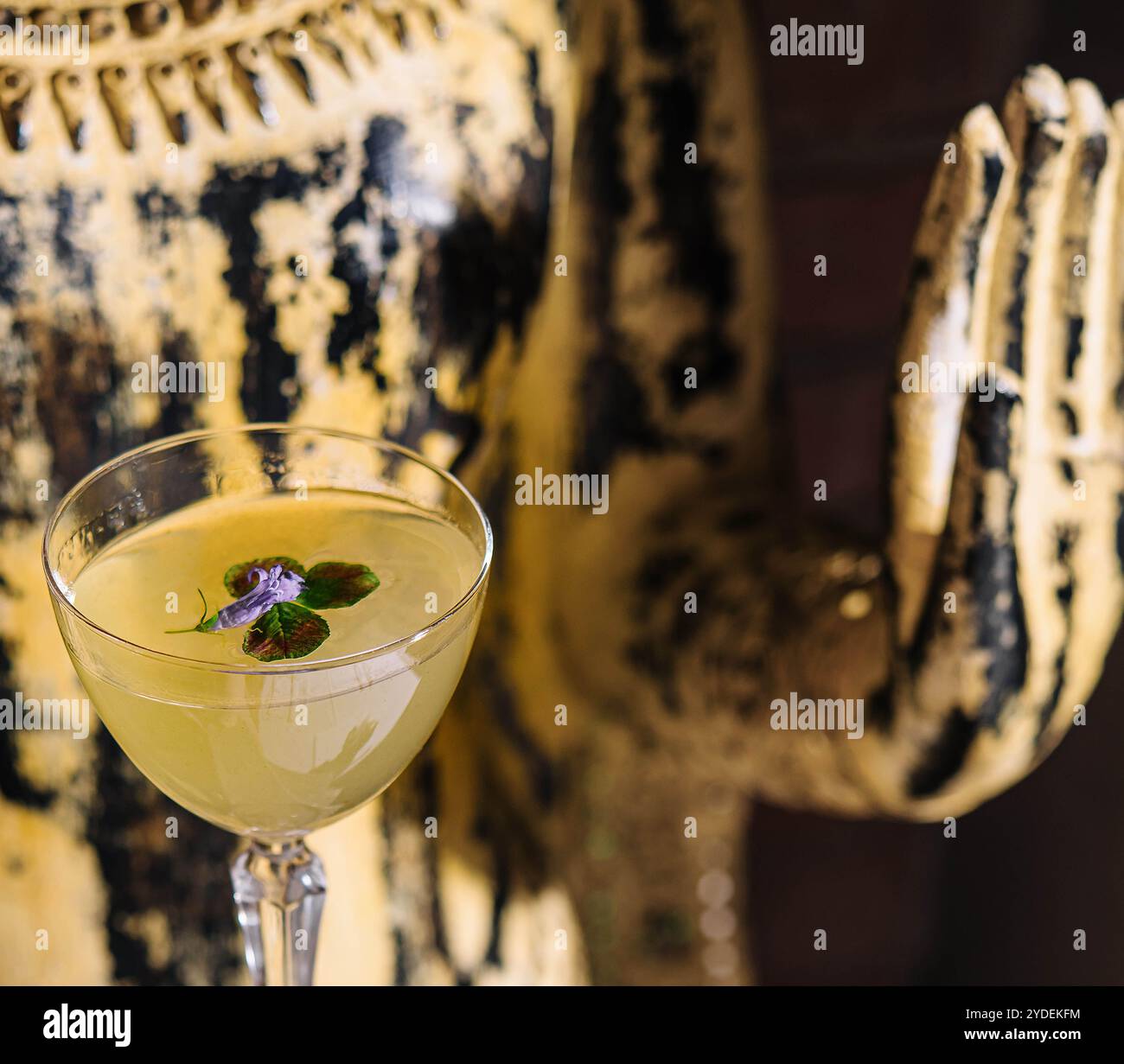 Cocktail gla hi-res stock photography and images - Alamy