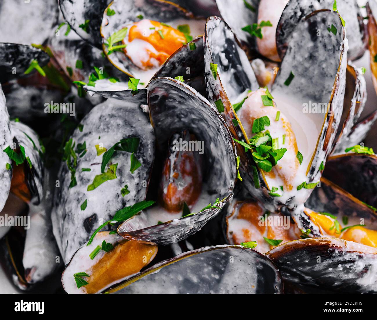 Close up tasty seafood hi-res stock photography and images - Alamy