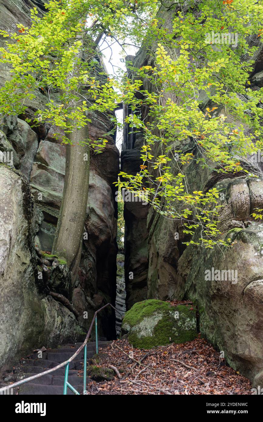 Scenic nature diversity of Mullerthal, Luxembourg's Little Switzerland ...