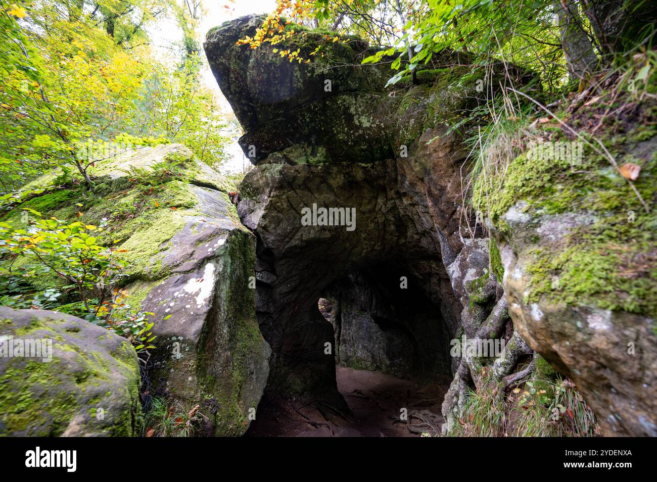Scenic nature diversity of Mullerthal, Luxembourg's Little Switzerland ...