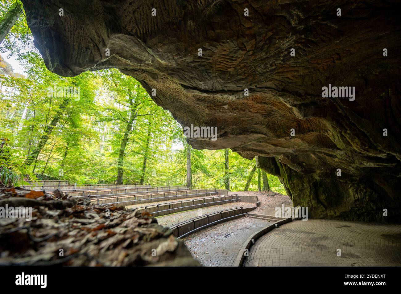 Scenic nature diversity of Mullerthal, Luxembourg's Little Switzerland ...