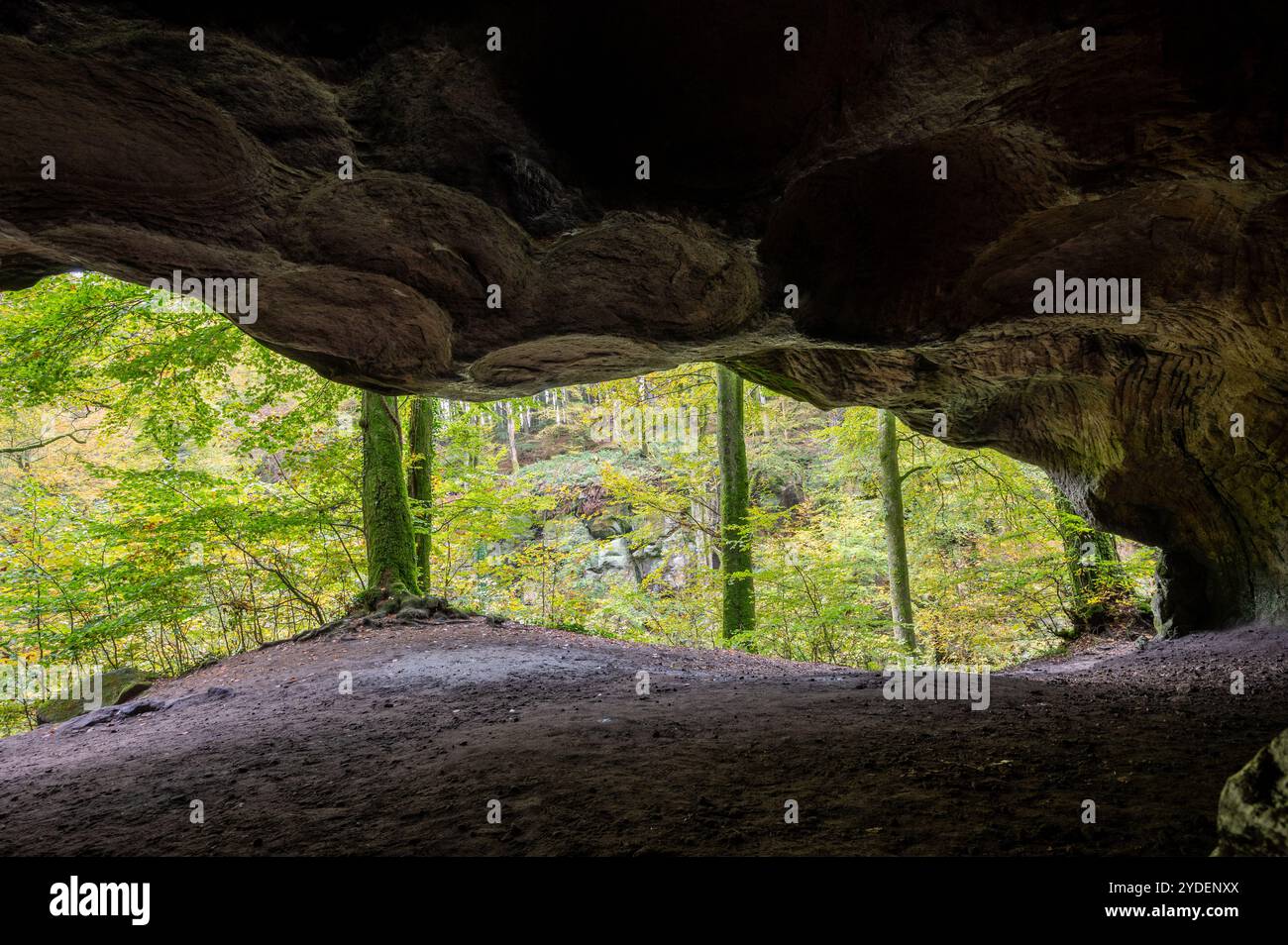 Scenic nature diversity of Mullerthal, Luxembourg's Little Switzerland ...