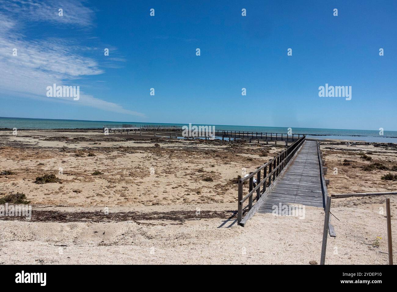 Hamelin Pool Stromatolites, Western Australia Stock Photo - Alamy