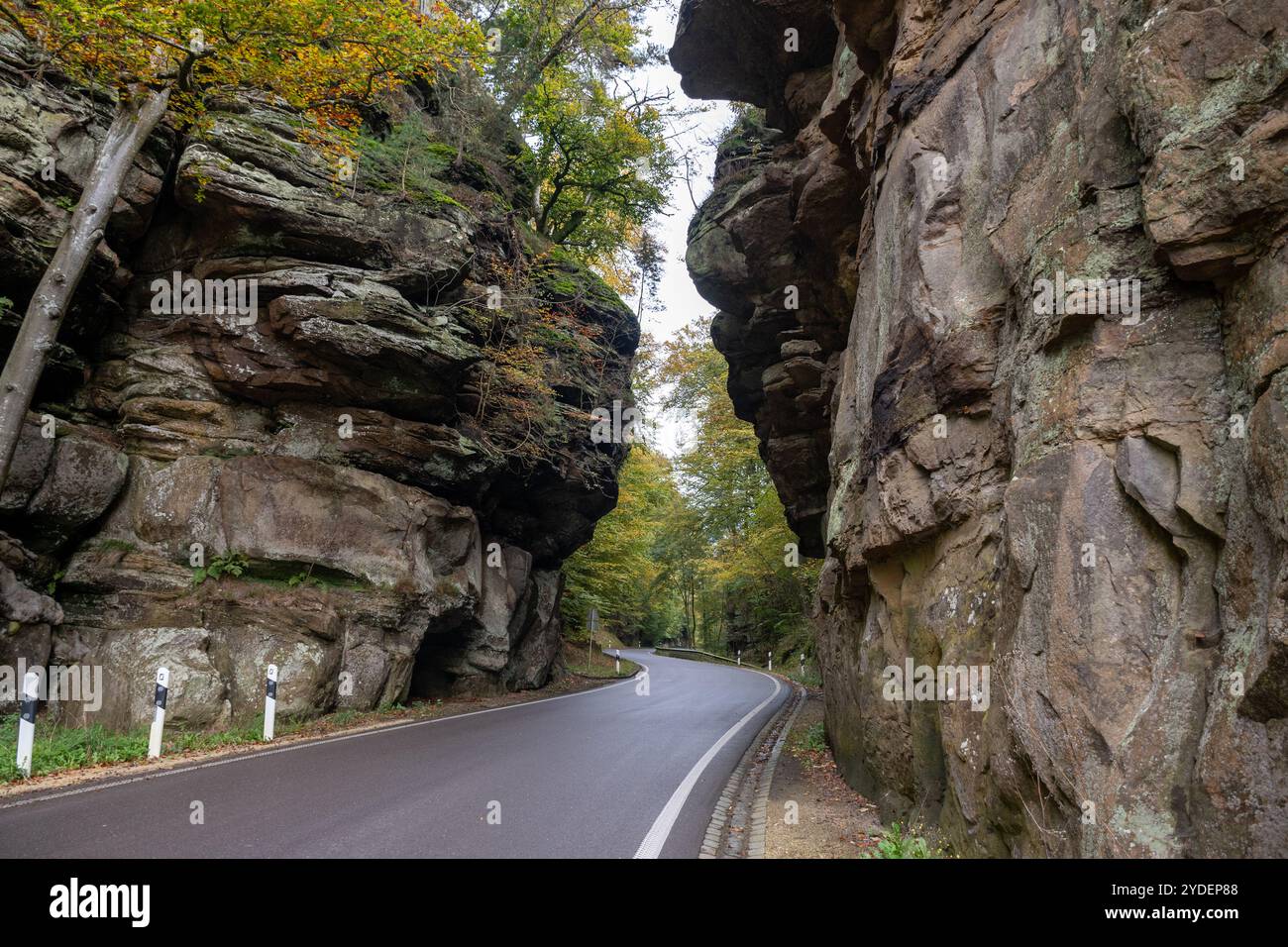 Scenic nature diversity of Mullerthal, Luxembourg's Little Switzerland ...