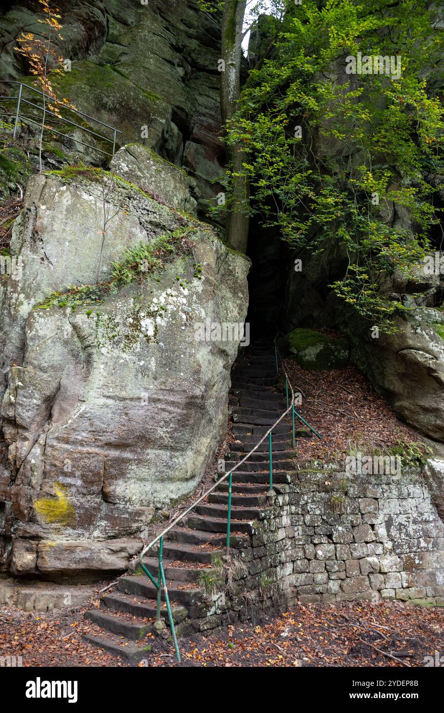 Scenic nature diversity of Mullerthal, Luxembourg's Little Switzerland ...