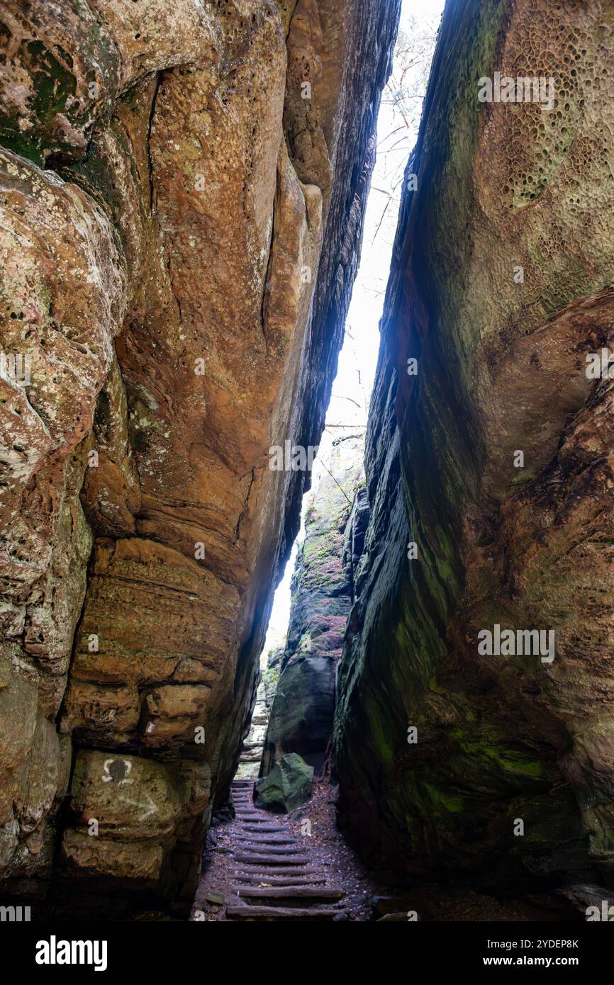 Scenic nature diversity of Mullerthal, Luxembourg's Little Switzerland ...