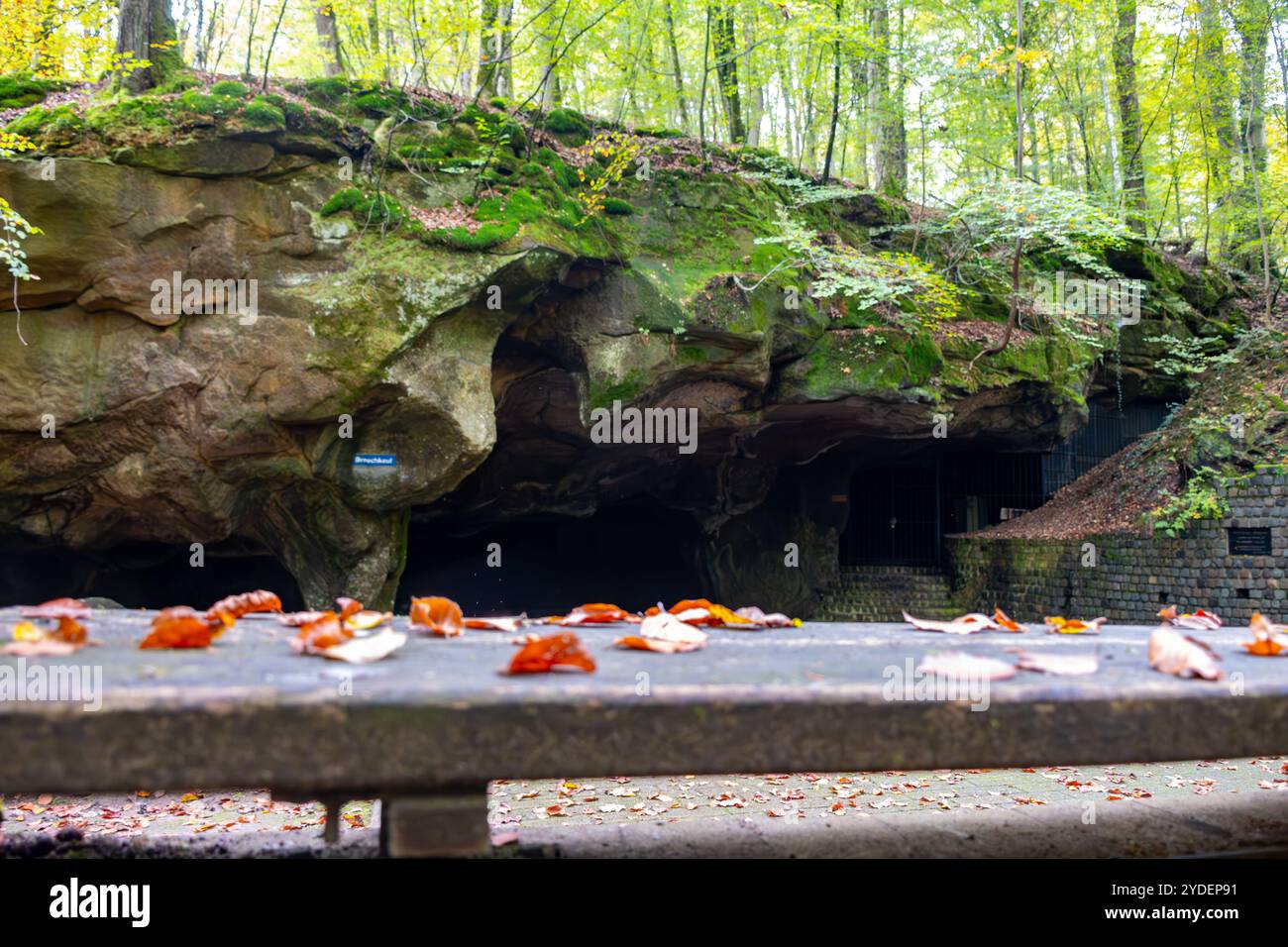 Scenic nature diversity of Mullerthal, Luxembourg's Little Switzerland ...