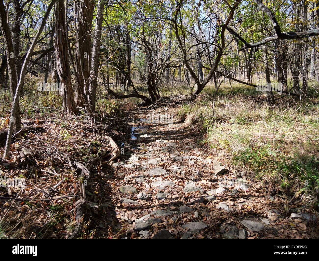 Beautiful Fall Day at Ernie Miller Nature Center in Johnson County ...