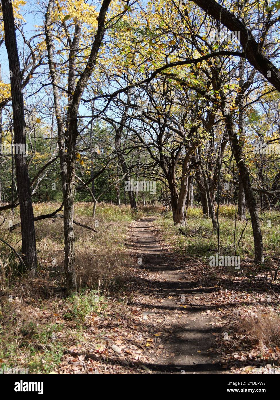 Beautiful Fall Day at Ernie Miller Nature Center in Johnson County ...
