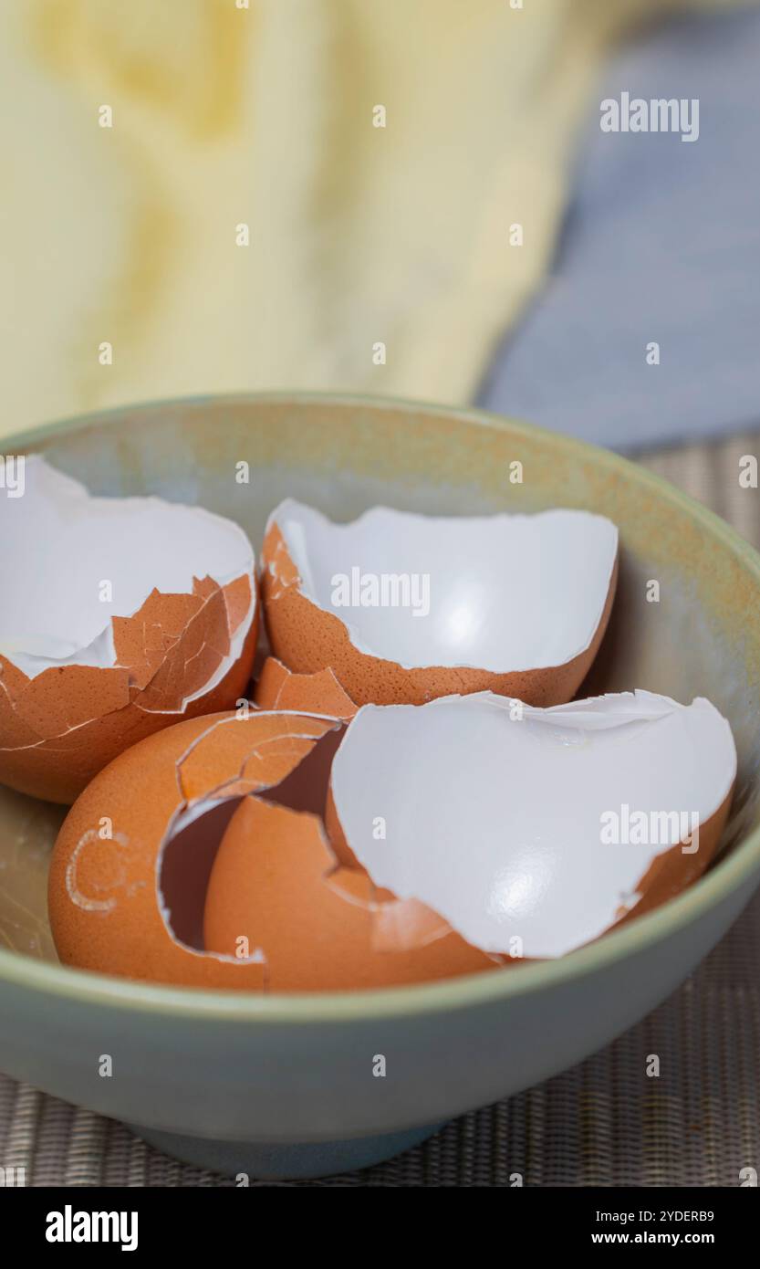 Broken egg shells ,Recycling kitchen waste, Crushed egg shells for the ...