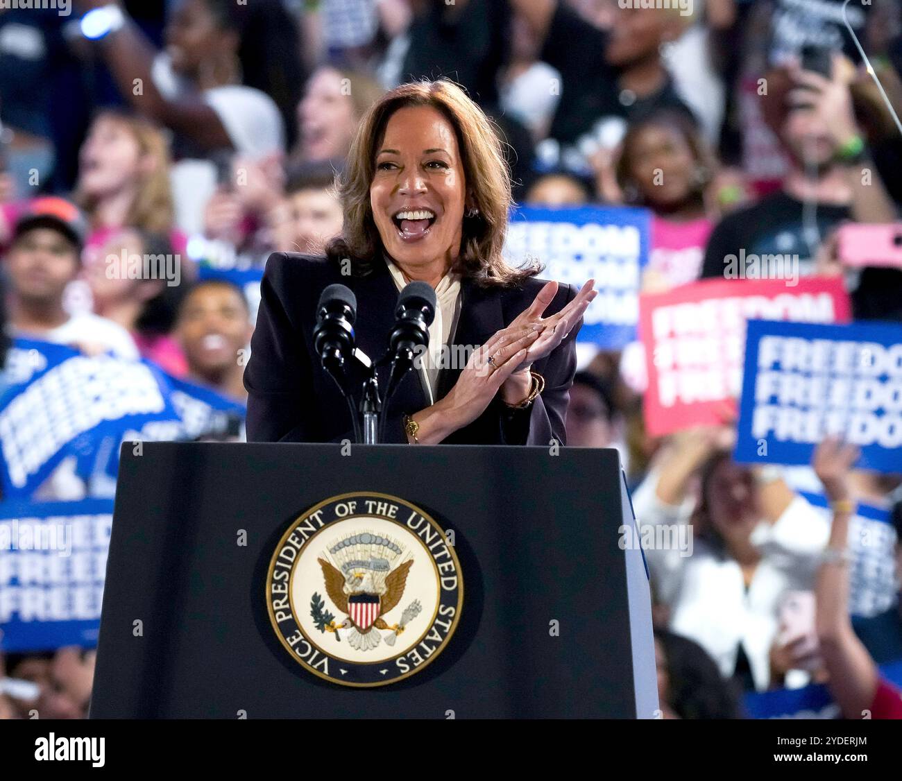 Democratic presidential nominee and Vice President Kamala Harris speaks ...