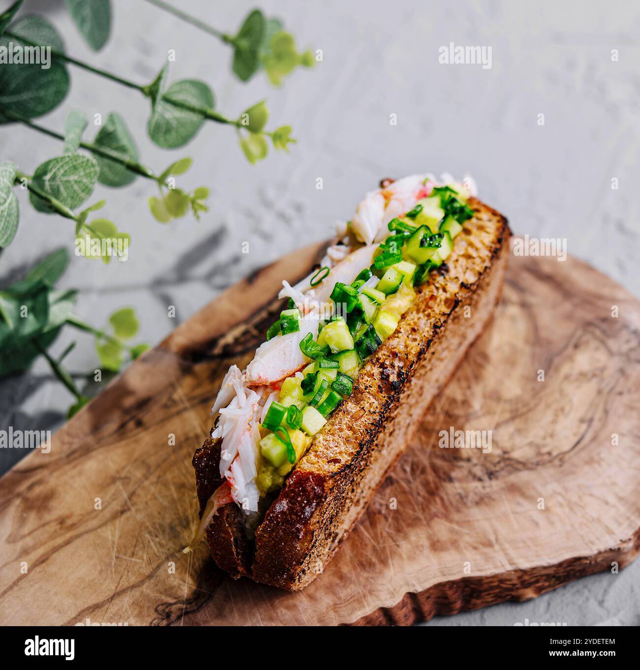 Grilled Crab and Vegetable Sandwich top view Stock Photo - Alamy