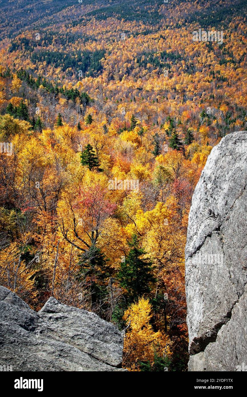 Autumn's vibrant palette blankets the rugged terrain of Pinkham's Notch, New Hampshire, as fiery ...